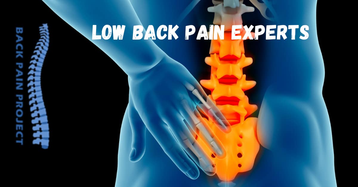 Lower back pain - The Back Pain Project
